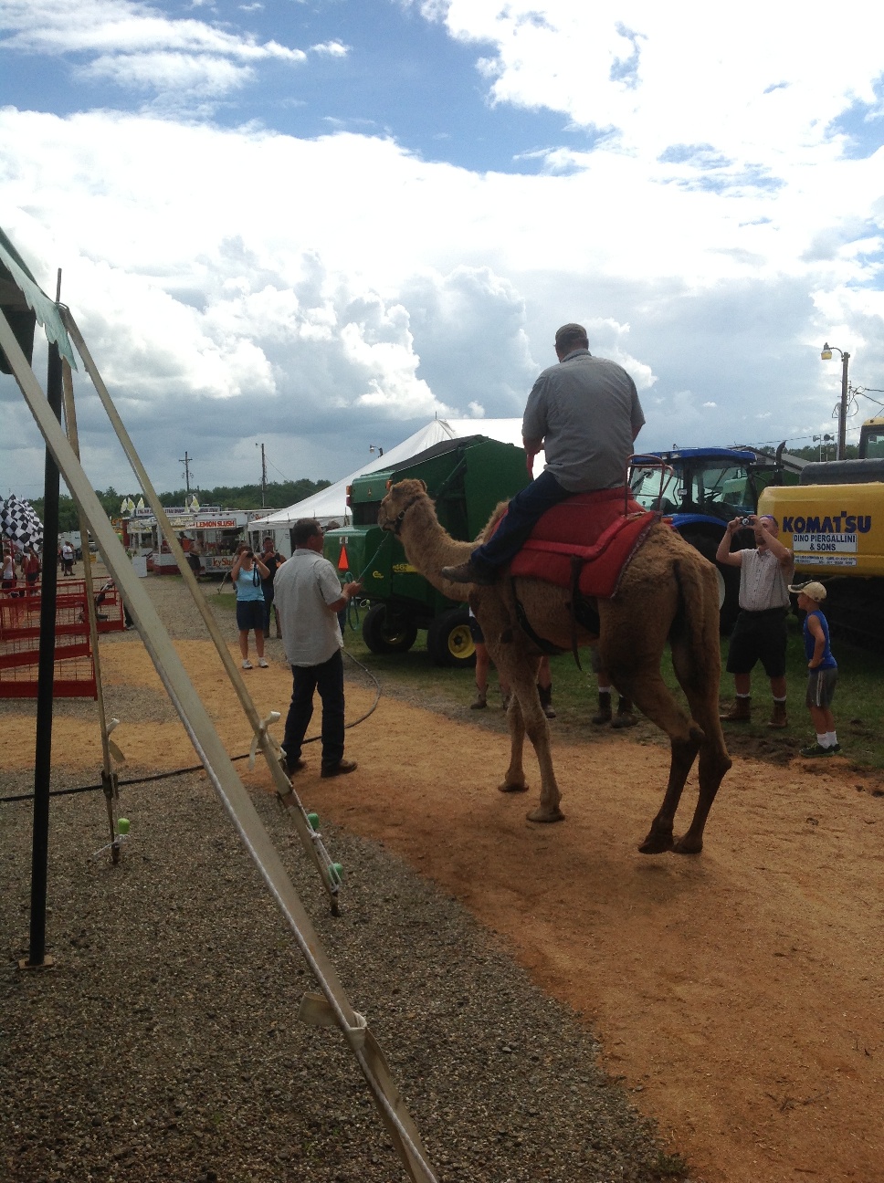 Photo Gallery – Harrison County Fair